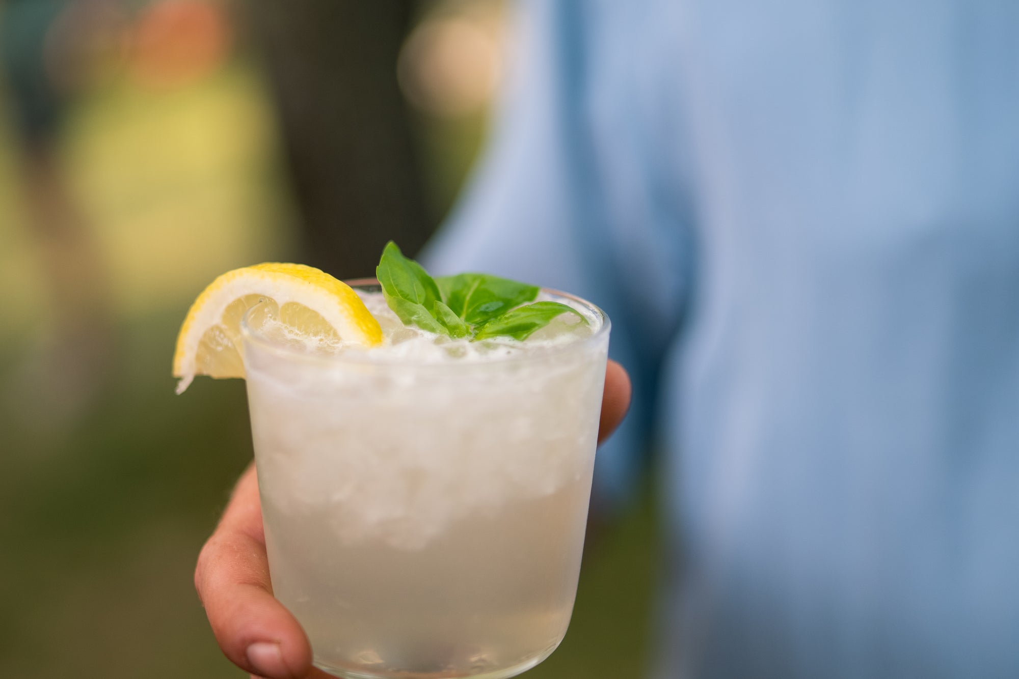 Vina Castellano Winery – Viña Castellano Winery