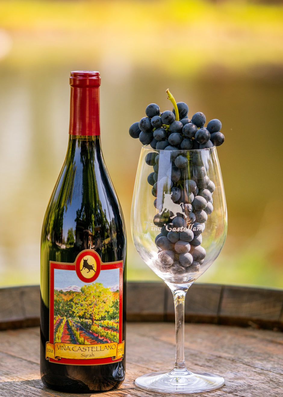 Vina Castellano Winery – Viña Castellano Winery