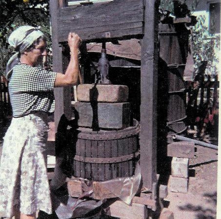 About Us – Viña Castellano Winery